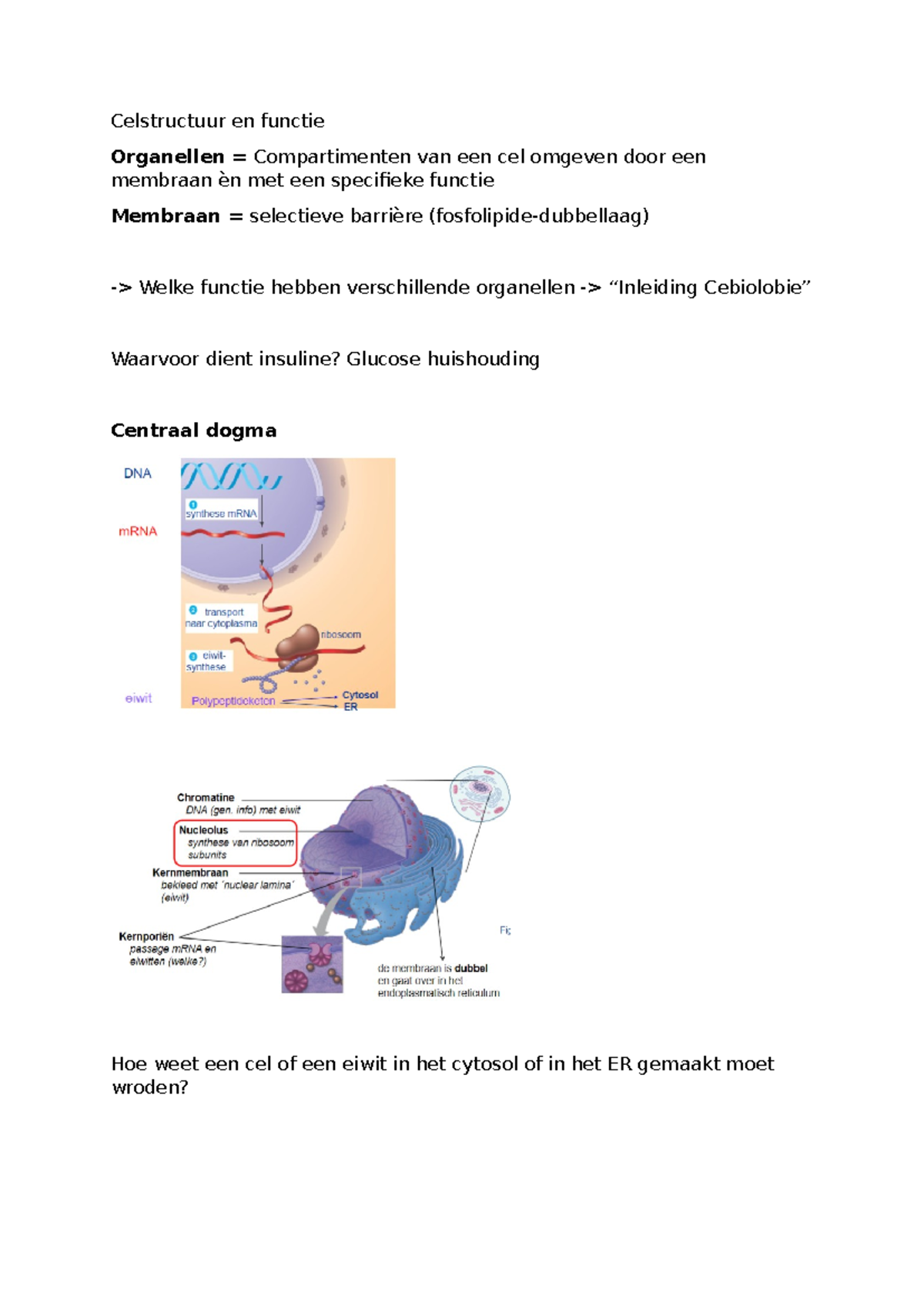 Cellulaire Biochemie aantekeningen - Celstructuur en functie Organellen ...