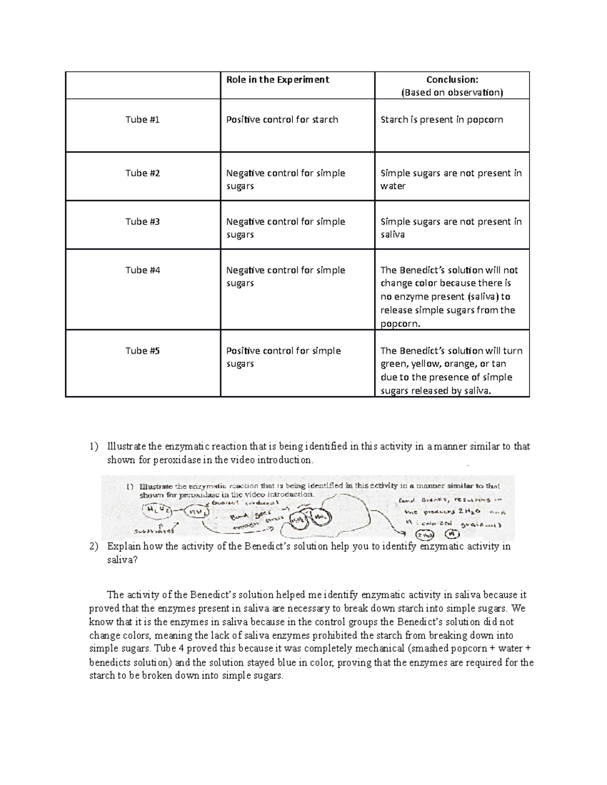 Bio Lab 2 Results page 2 - Role in the Experiment Conclusion: (Based on ...