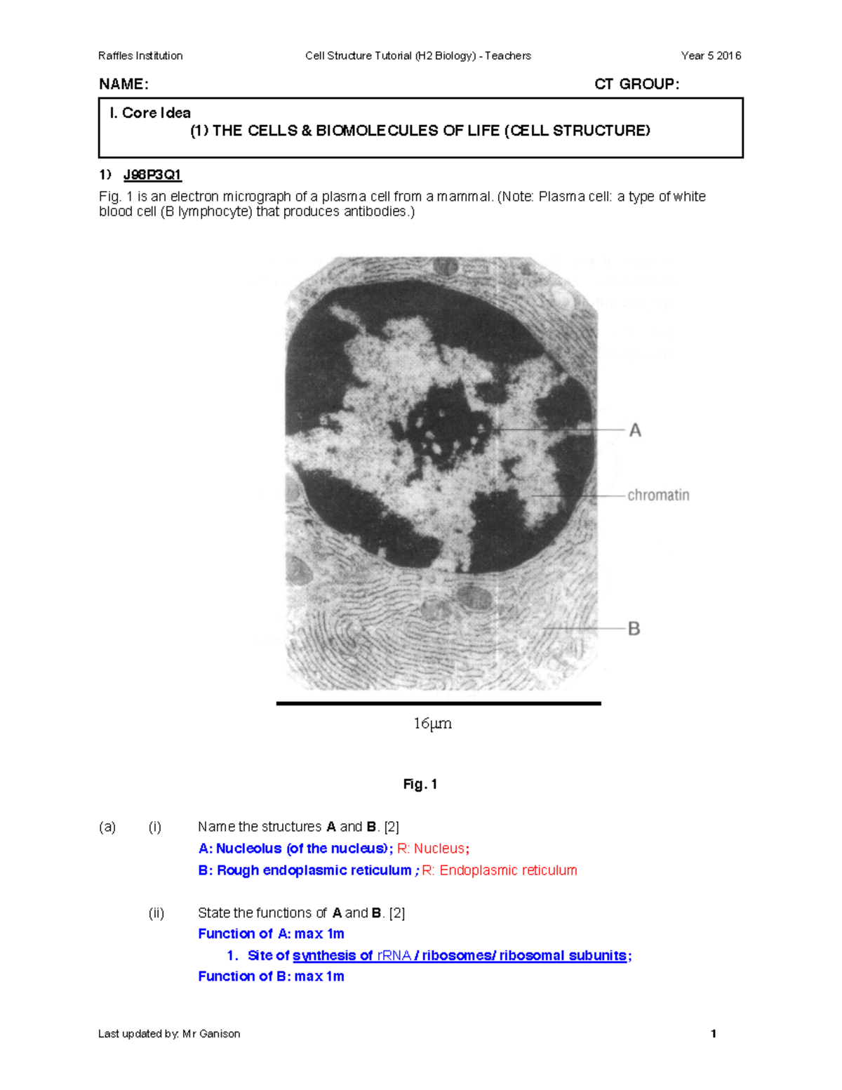2017 Cell Structure tutorial answers - Raffles Institution Cell ...