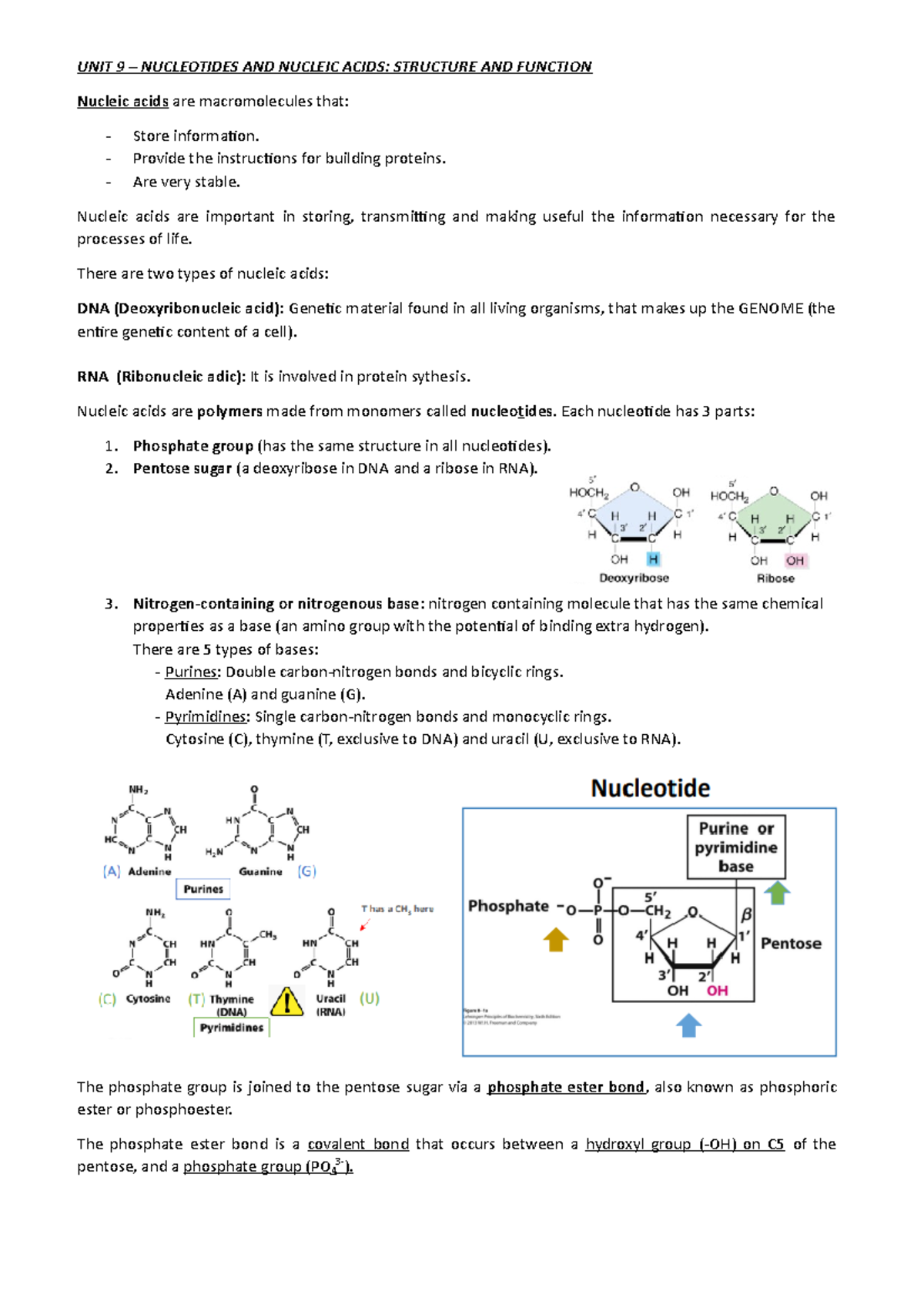 UNIT 9 - Nucleotides and nucleic acids - UNIT 9 – NUCLEOTIDES AND ...