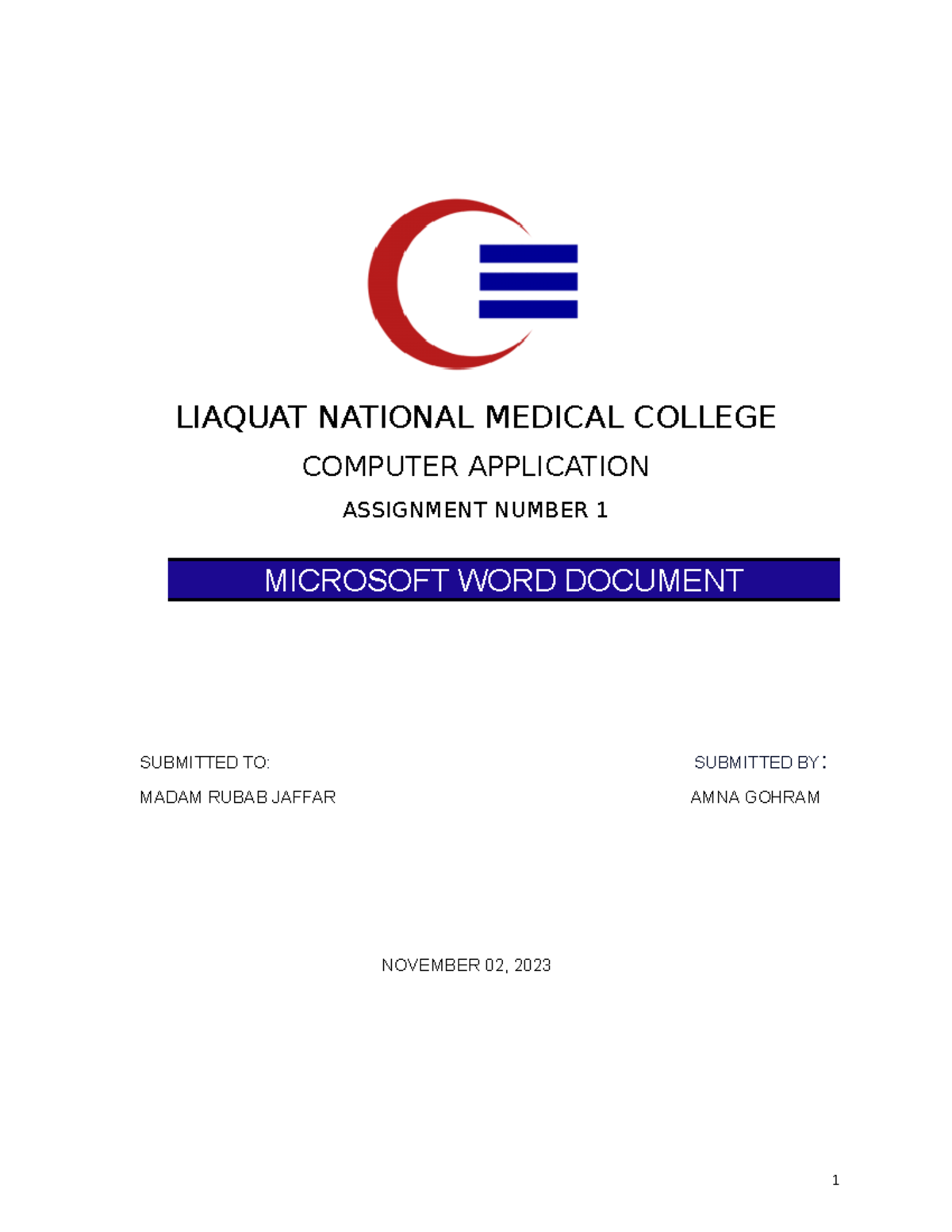 COMP Assignment WORD - bkjhbjbj - LIAQUAT NATIONAL MEDICAL COLLEGE ...