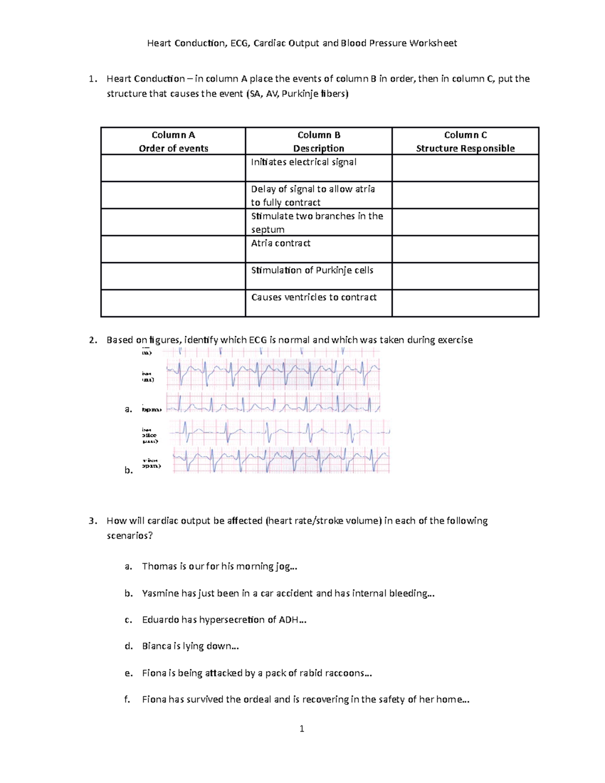 Cardiovascular System Regulation Worksheet - Heart Conduction, ECG ...