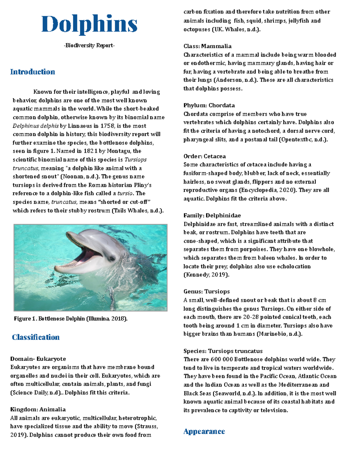 Dolphins Biodiversity Report - Dolphins -Biodiversity Report ...
