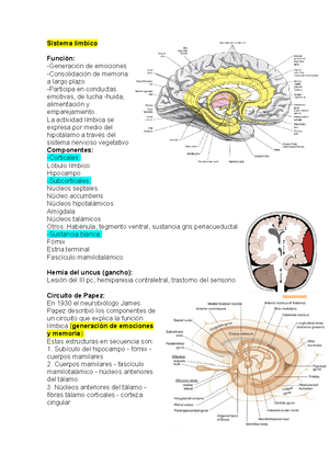 Glosario - SEM 13 - Tarea sem 13 - GLOSARIO 1.- Palestesia: Sensación o ...