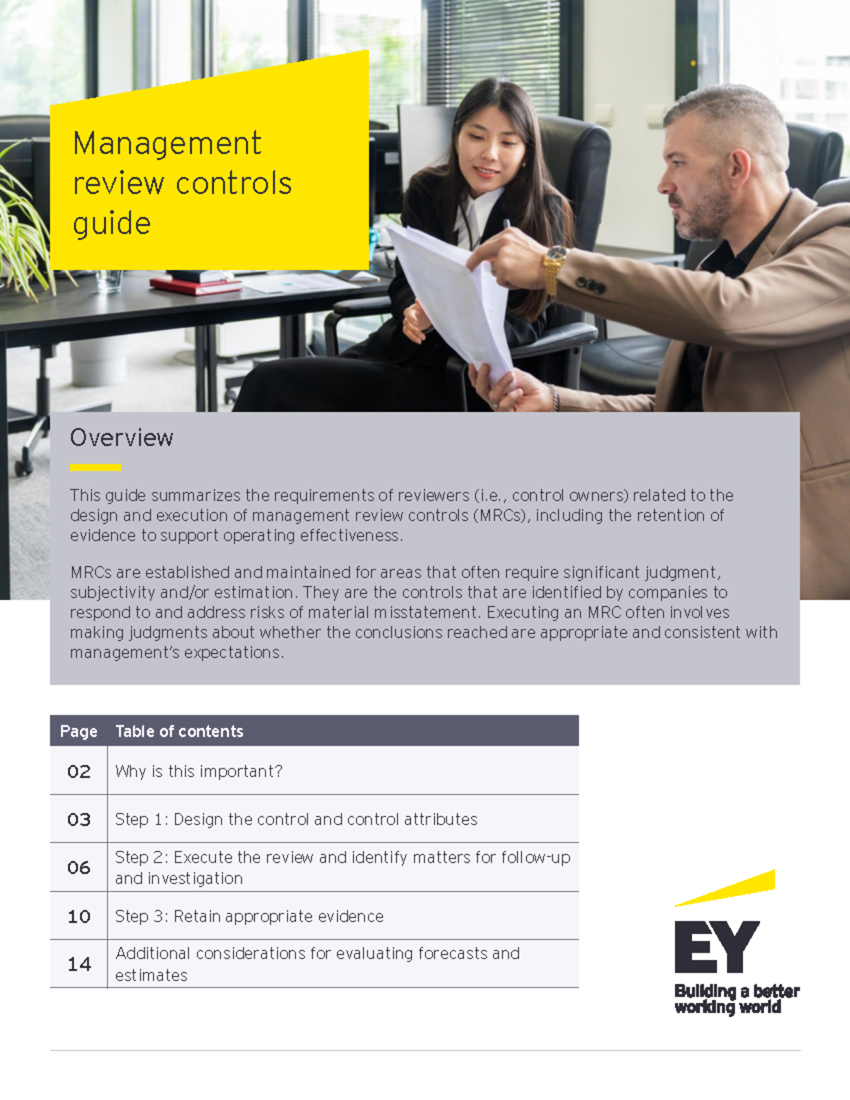 EY Review controls guide 2024 - Management review controls guide Page ...