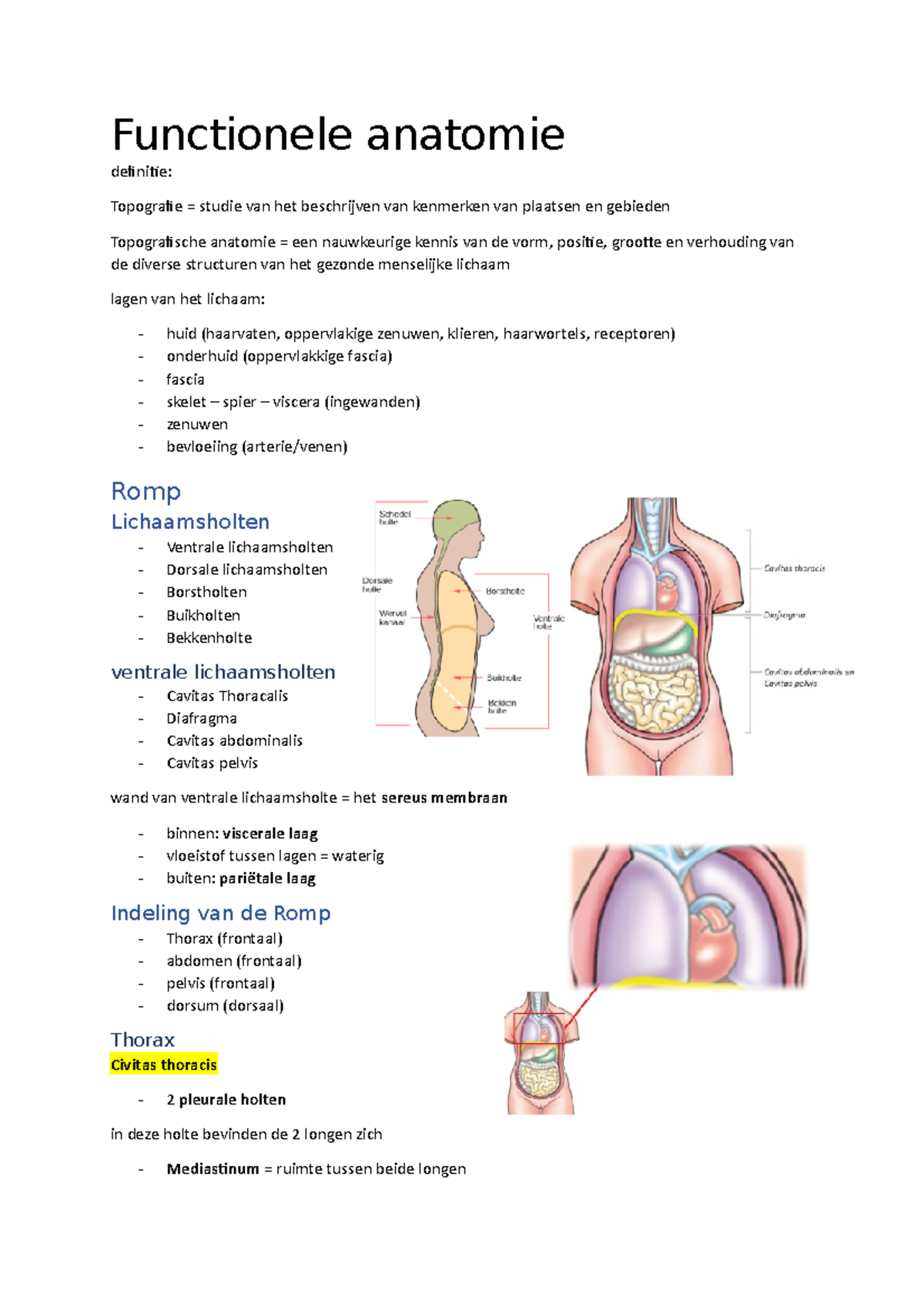 Functionele anatomie - deel 1 pwp - Functionele anatomie definitie ...