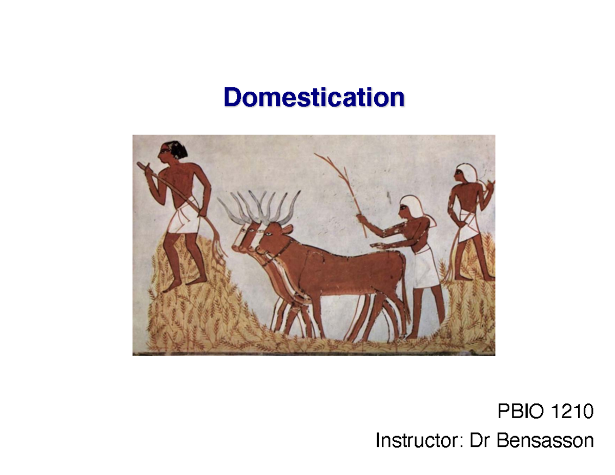 Lecture 25Domestication Notes - Domestication PBIO 1210 Instructor: Dr ...
