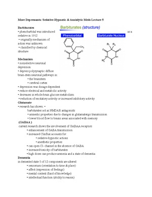 Static-99R-Tally Sheet - Static-99R – TALLY SHEET Item # Risk Factor ...
