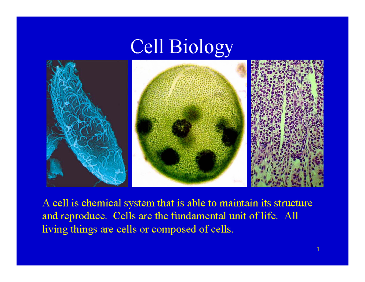 Cell Biology - Cells are the fundamental unit of life. All living ...