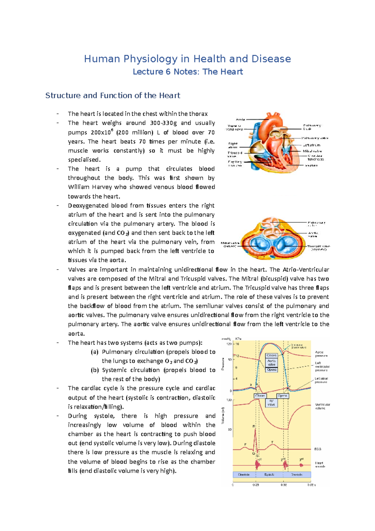 Lecture 6 Notes (The Heart) - Human Physiology in Health and Disease ...