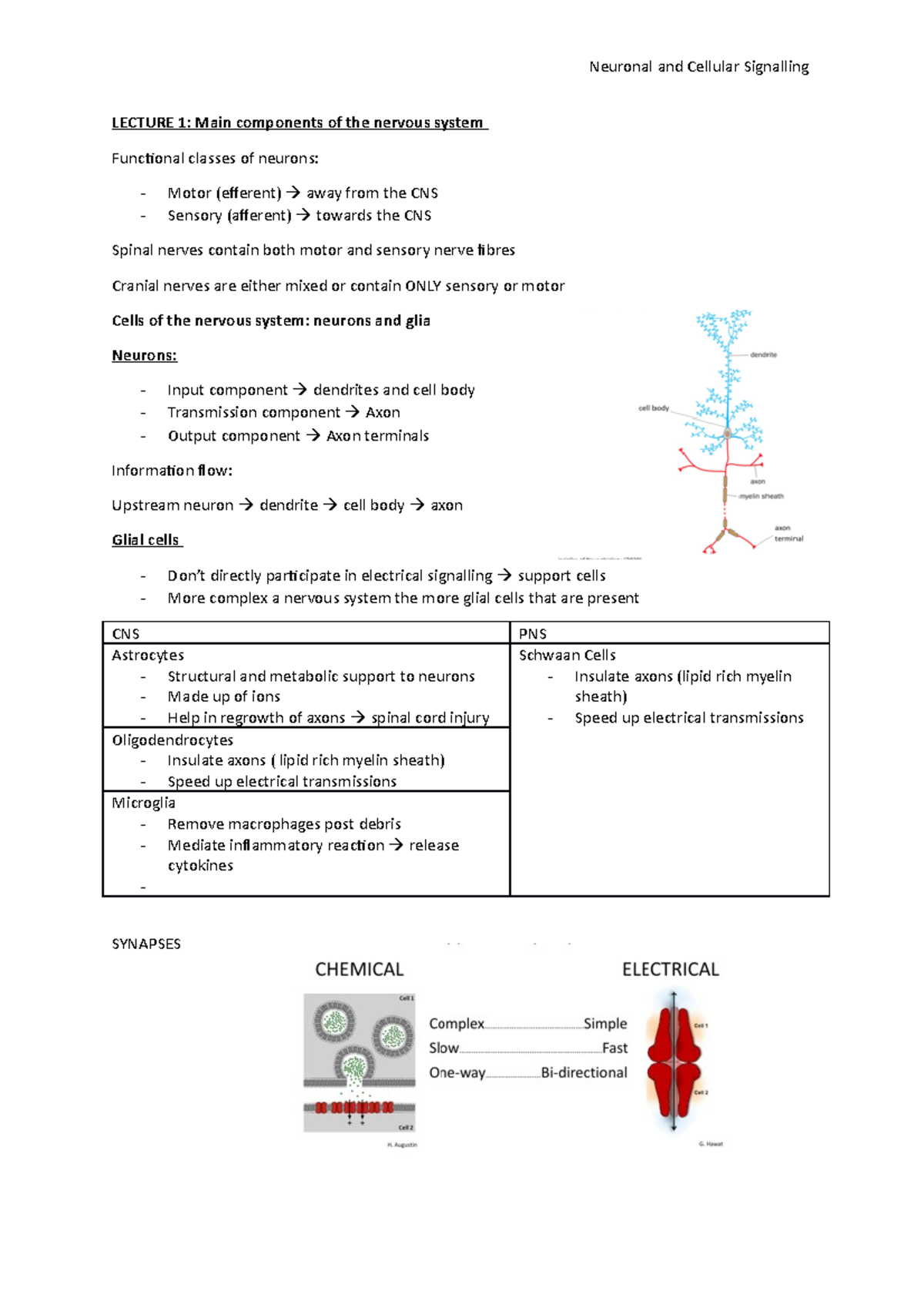 Principles Of Signalling Neuronal And Cellular Signalling Lecture 1 Main Components Of The