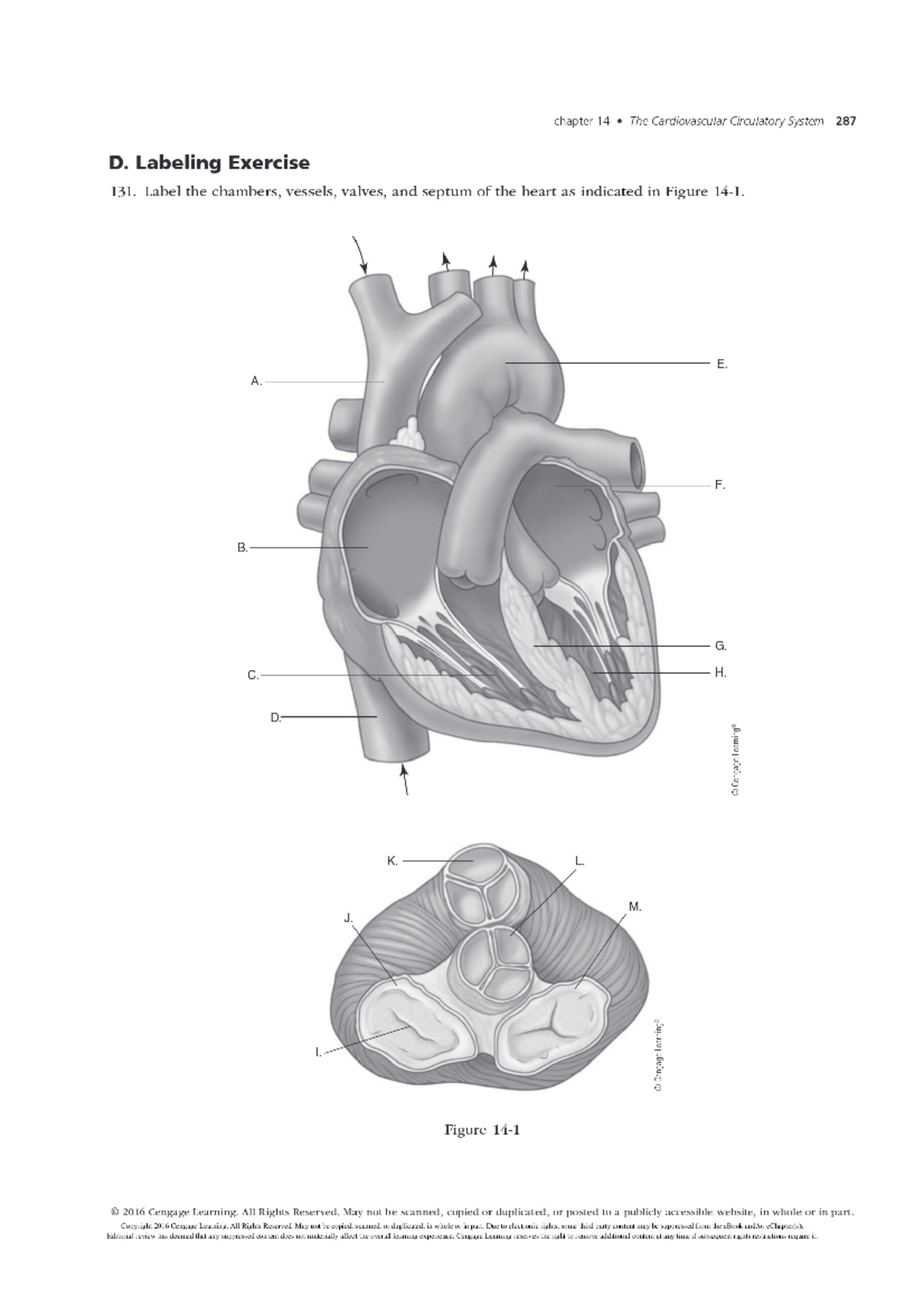 Label Heart - FN101 - Studocu