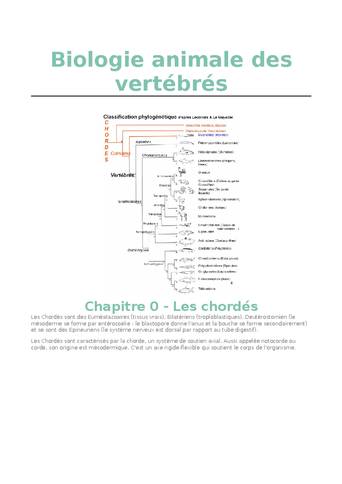 Biologie animale des vertébrés chapitre 1, 2 et 3 - Biologie animale ...