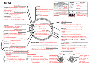 GCE A Level Eng Lang frameworks and levels v1 - AS and A Level English ...