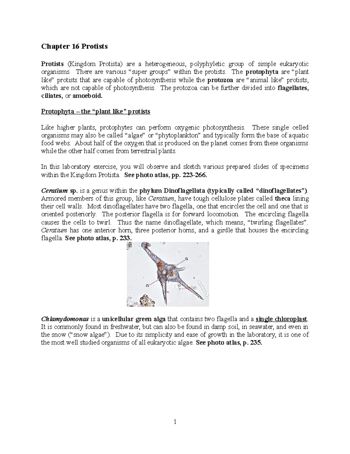 Chapter 16 Protists Revised 05242021-1-1-1 - Chapter 16 Protists ...
