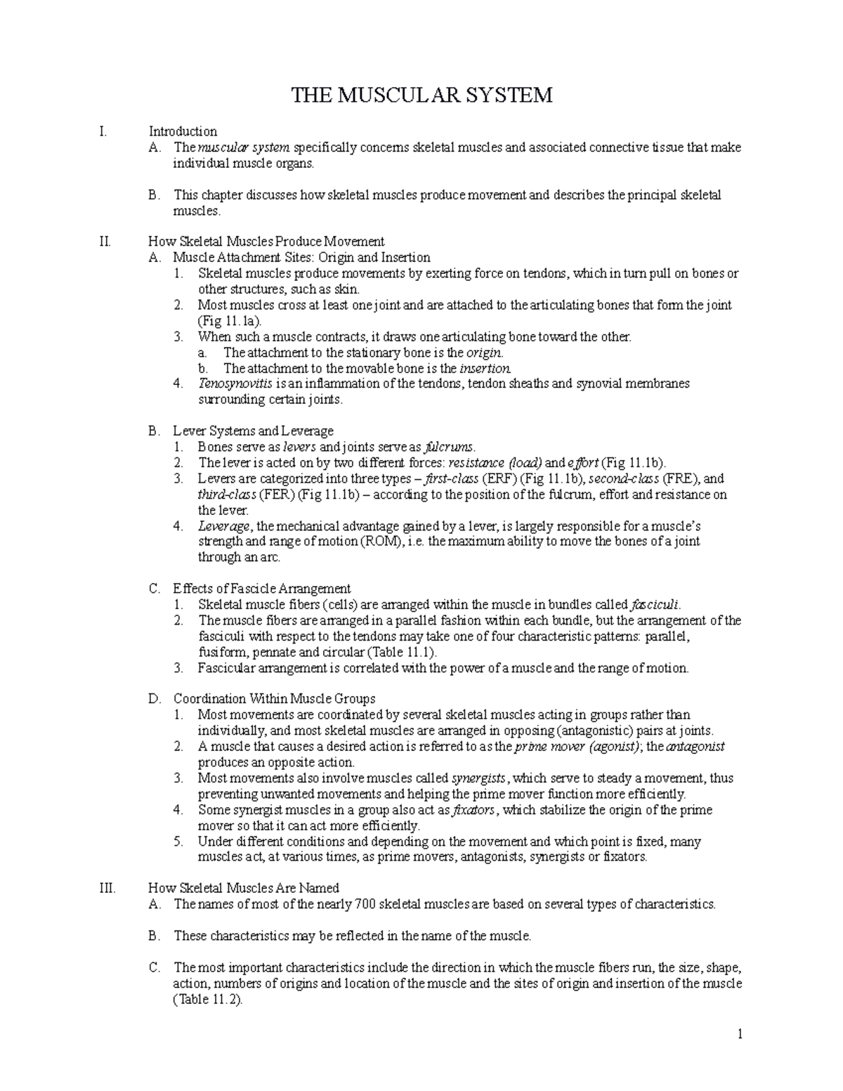 CH 11 The Muscular System - THE MUSCULAR SYSTEM I. Introduction A. The ...