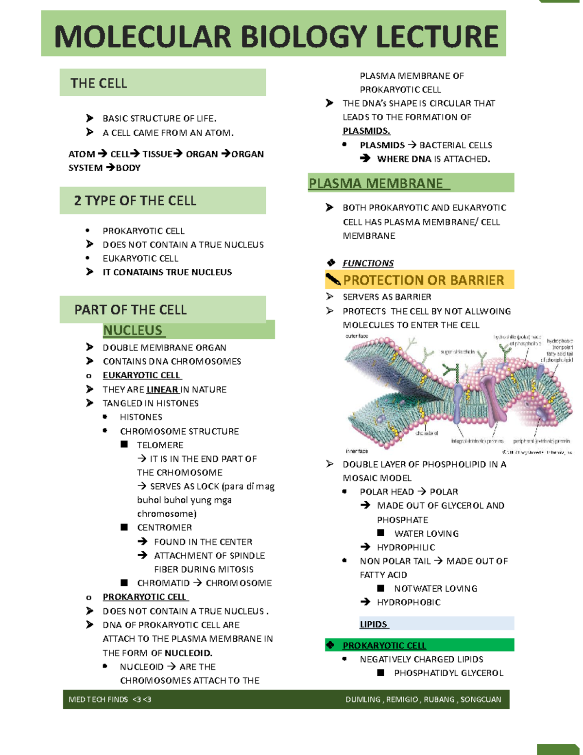 Molecular BIO LEC. Trnas - BASIC STRUCTURE OF LIFE. A CELL CAME FROM AN ...
