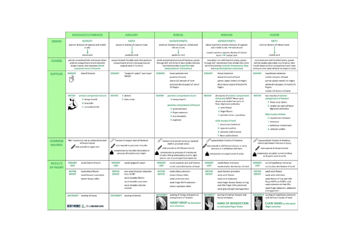 PNI table - MBBS - Studocu