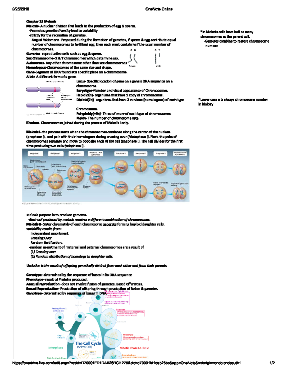 Ch13 Meiosis - Dr. Abel Organismal Bio - 9/25/2018 OneNote Online ...