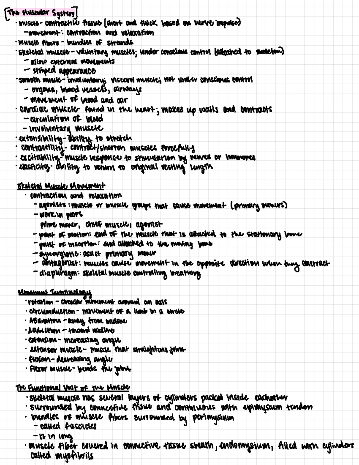 Ch 7 Notes - [ The Muscular System] ' muscle - contractile tissue ...