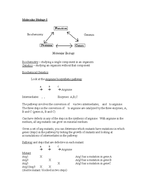 Genetics I - 2021-2022 Biology Lecture Notes - Genetics I: Mendel ...
