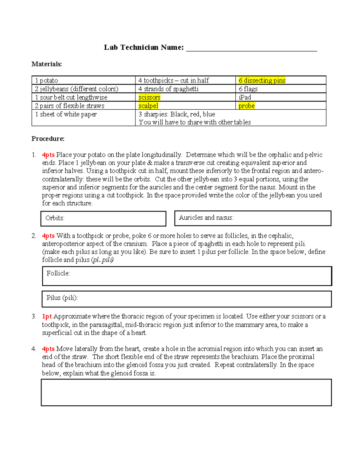 Potato Directional Terms Lab - Lab Technician Name ...