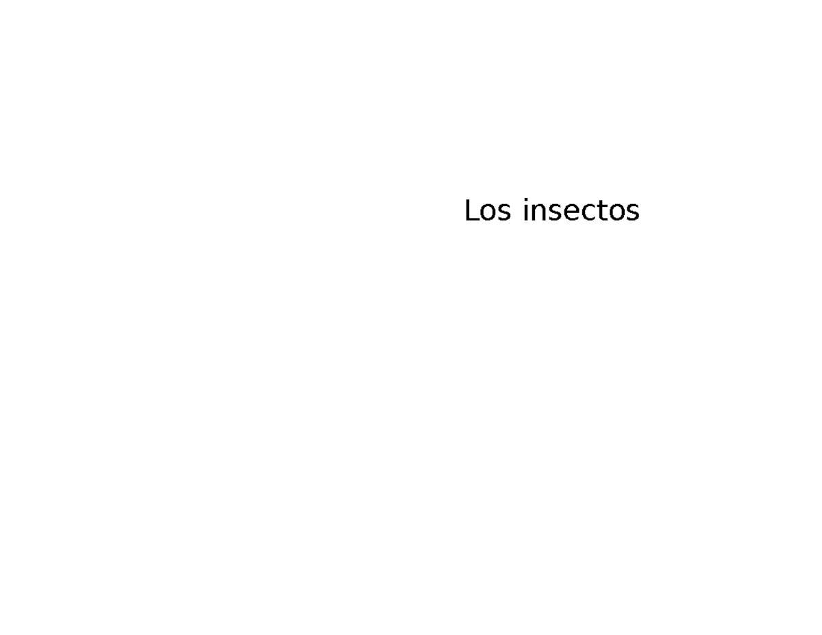 Proyecto Steam LOS Insectos - Los insectos PROYECTO STEAM LOS INSECTOS Jardín de niños: CCT ...