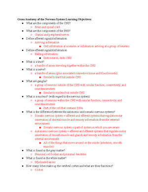 Anatomy 303 Spinal Cord, Spinal Nerves, Reflexes - Learning Objectives ...