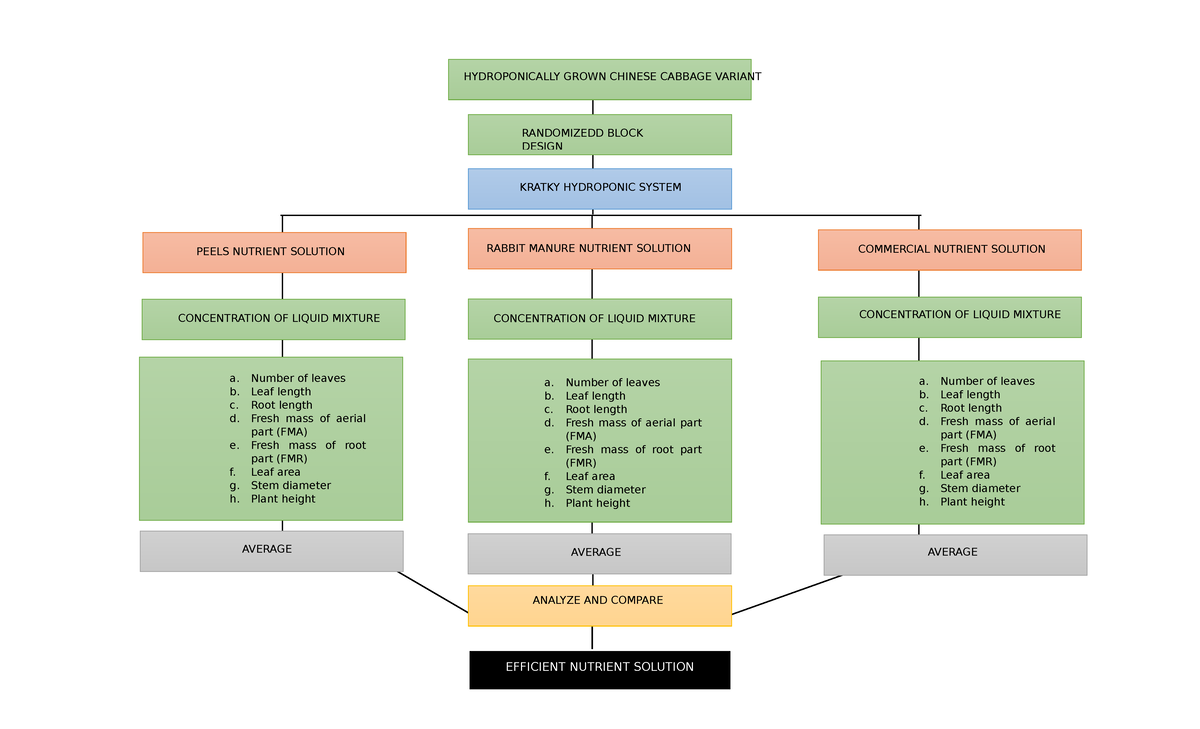 EDA Schematic Diagram - RANDOMIZEDD BLOCK DESIGN AVERAGE AVERAGE ...