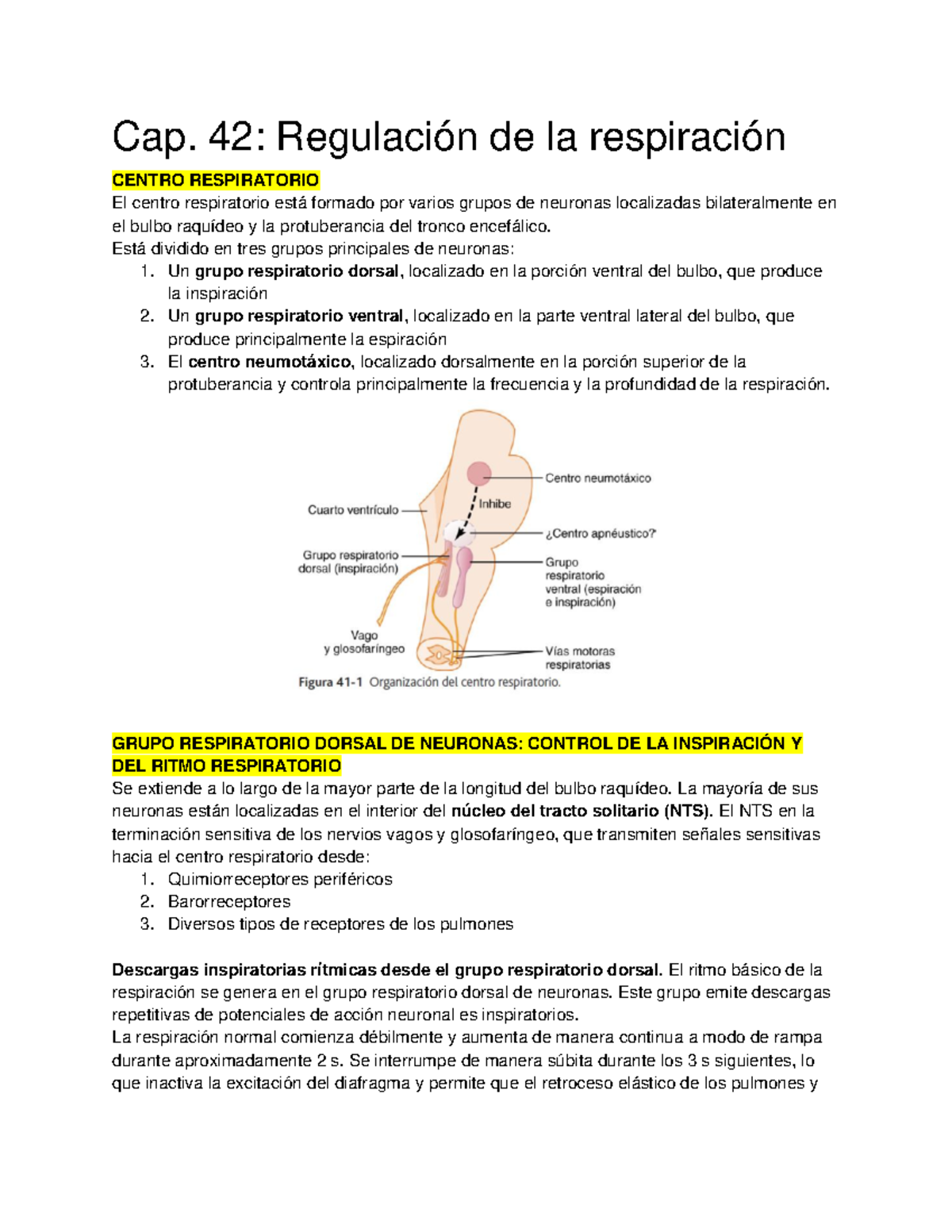 Cap 42 Regulación de la respiración. Guyton. Resumen - Cap. 42: Regulación de la respiración ...