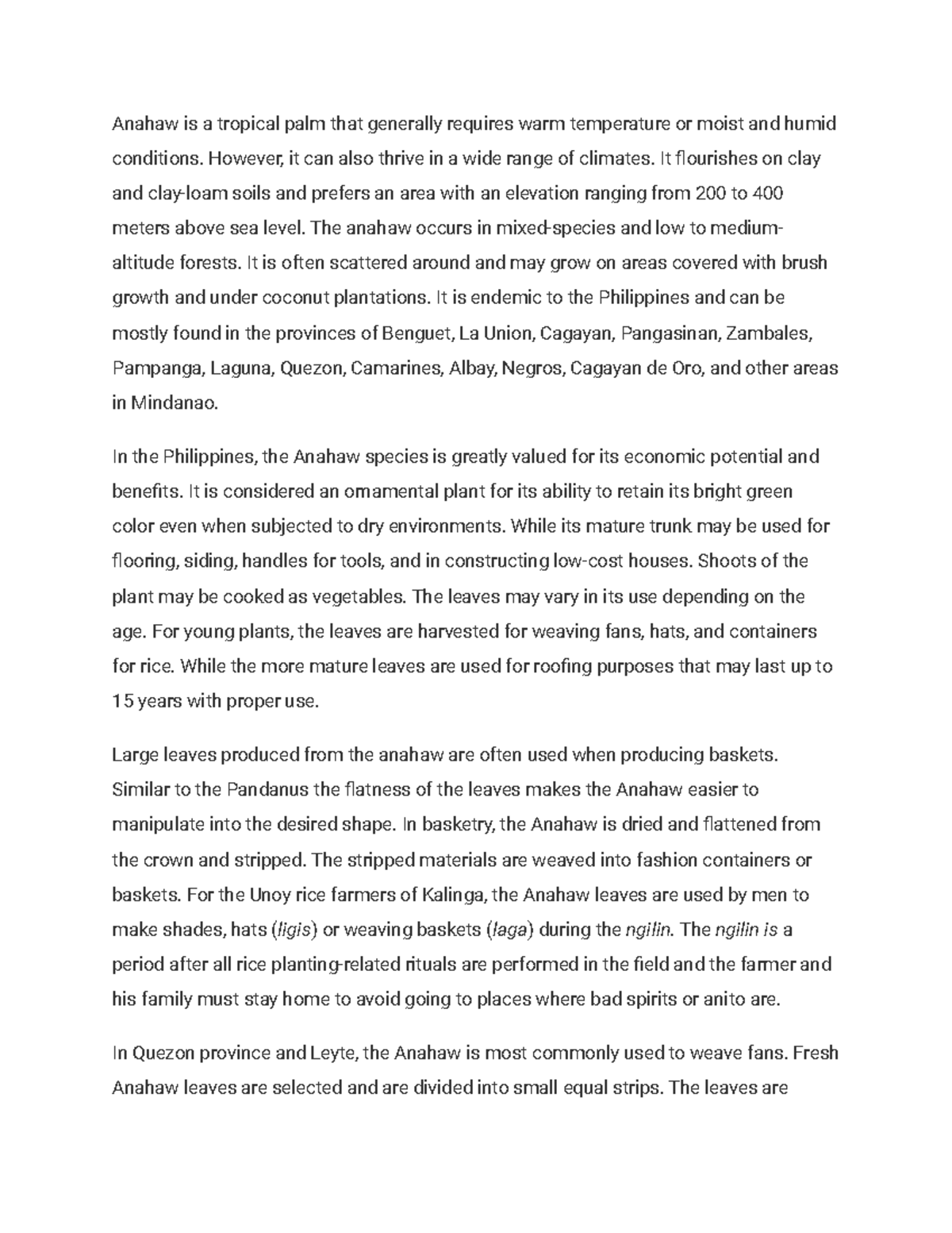 Anahaw Product - Anahaw is a tropical palm that generally requires warm ...