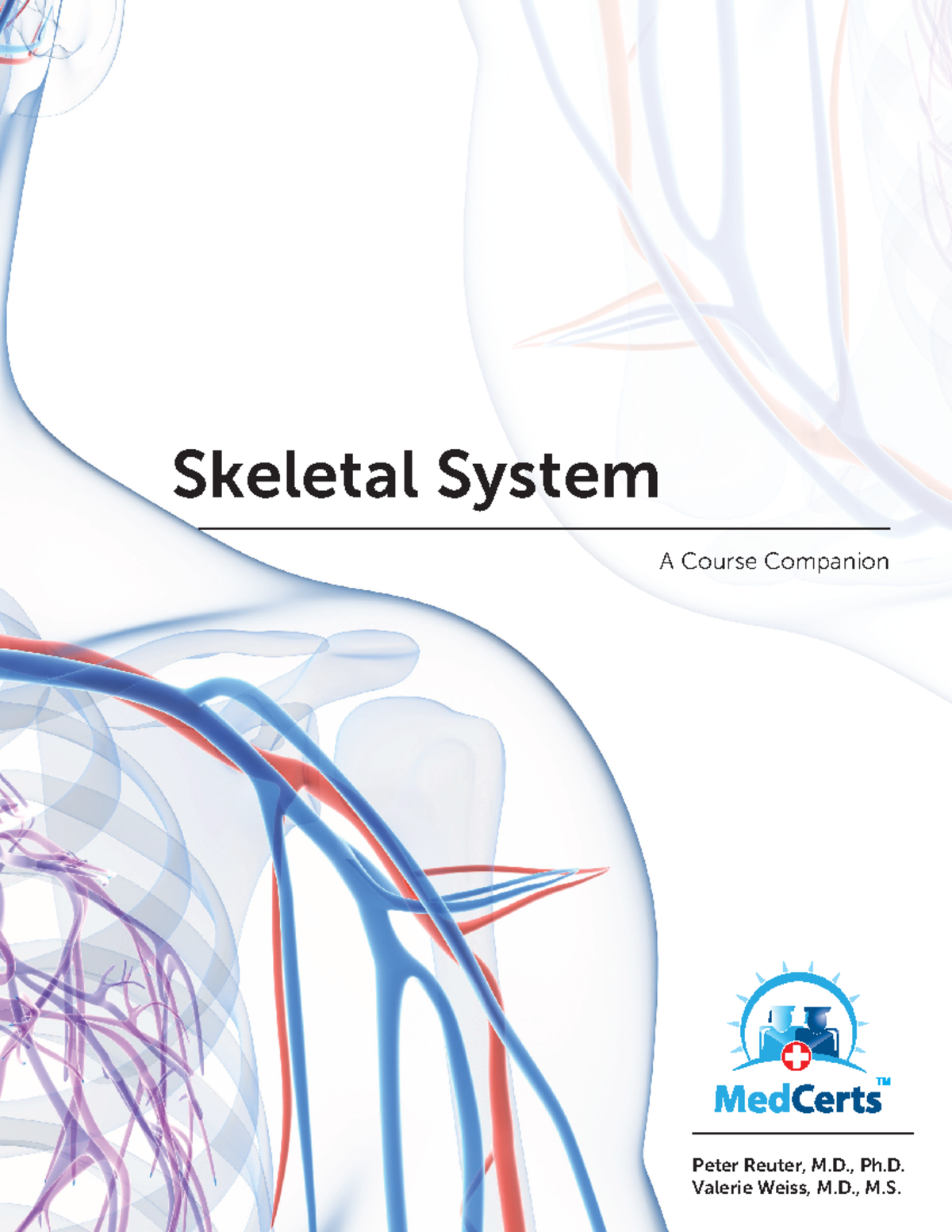 Module+6+Skeletal+System-Jul19 - A Course Companion Peter Reuter, M ...