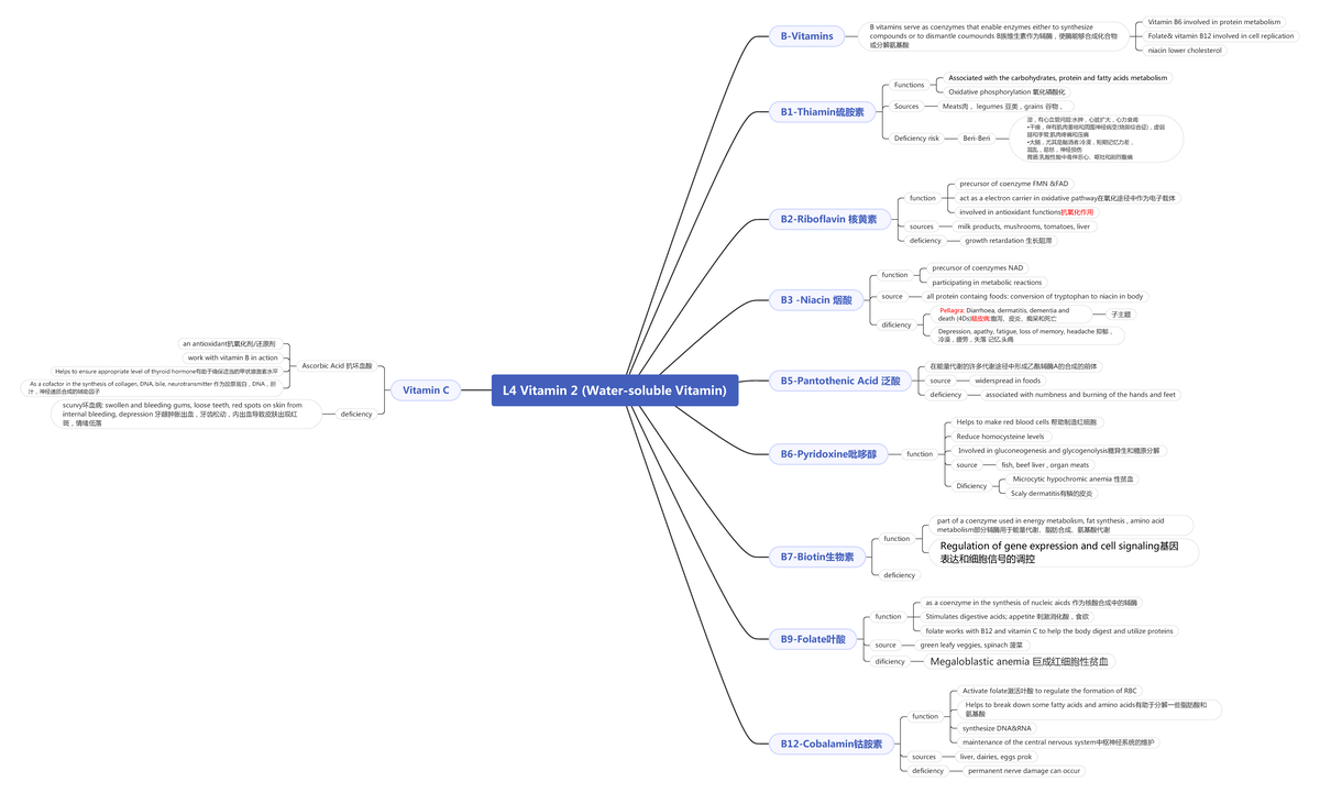 L4 Vitamin 2 (Water-soluble Vi - Studocu