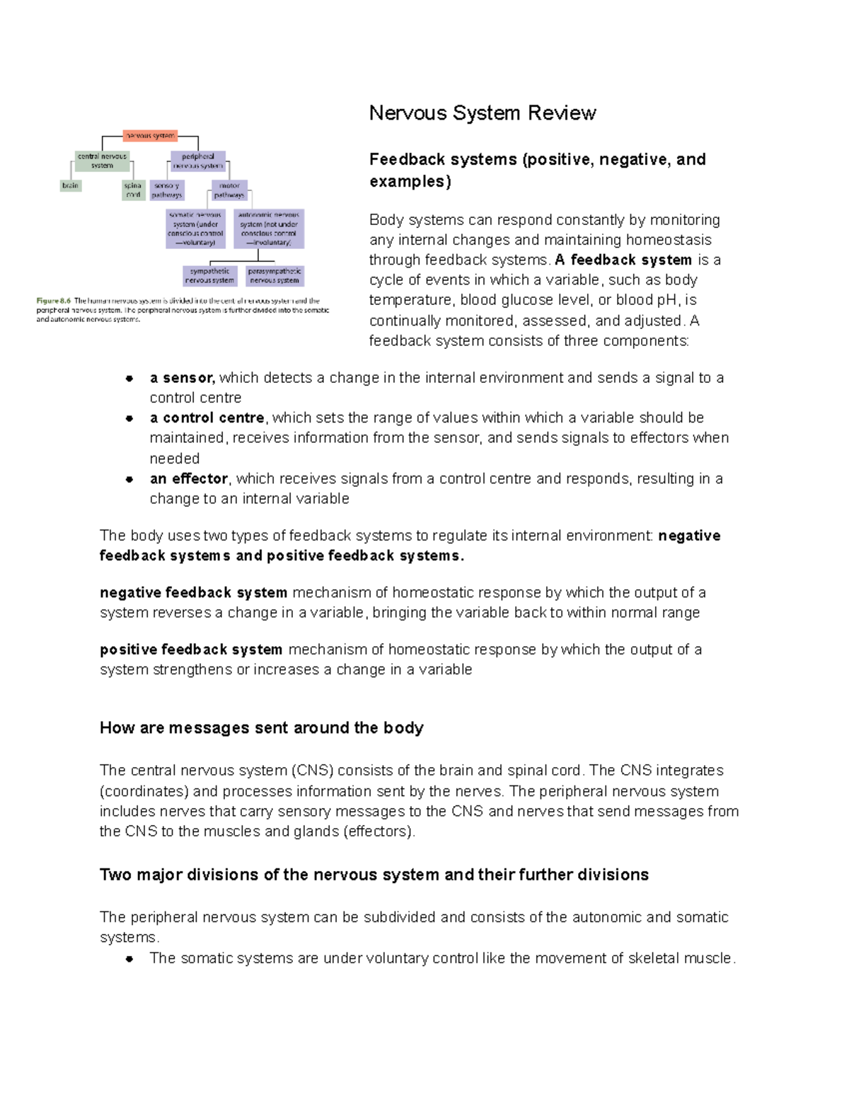 Copy of Nervous System Review - Nervous System Review Feedback systems ...