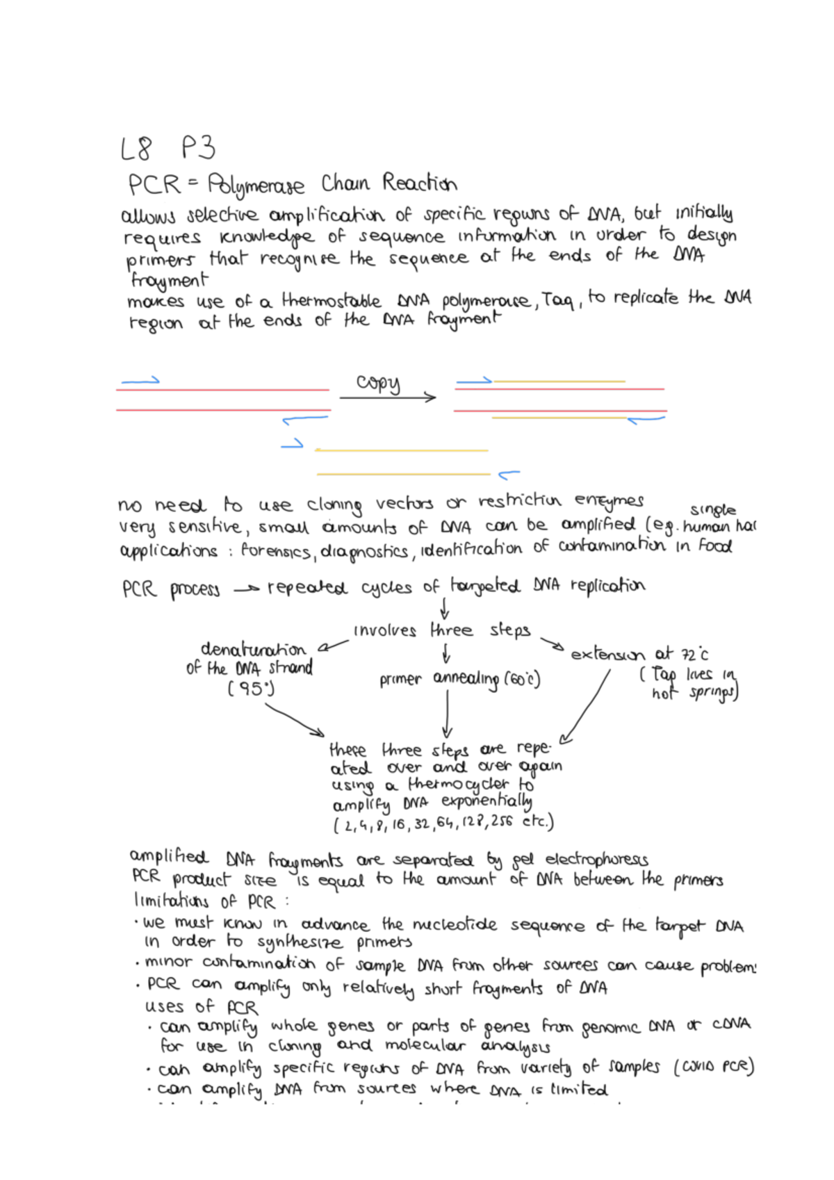 PCR - lecture notes - 4BBY1070 - Studocu