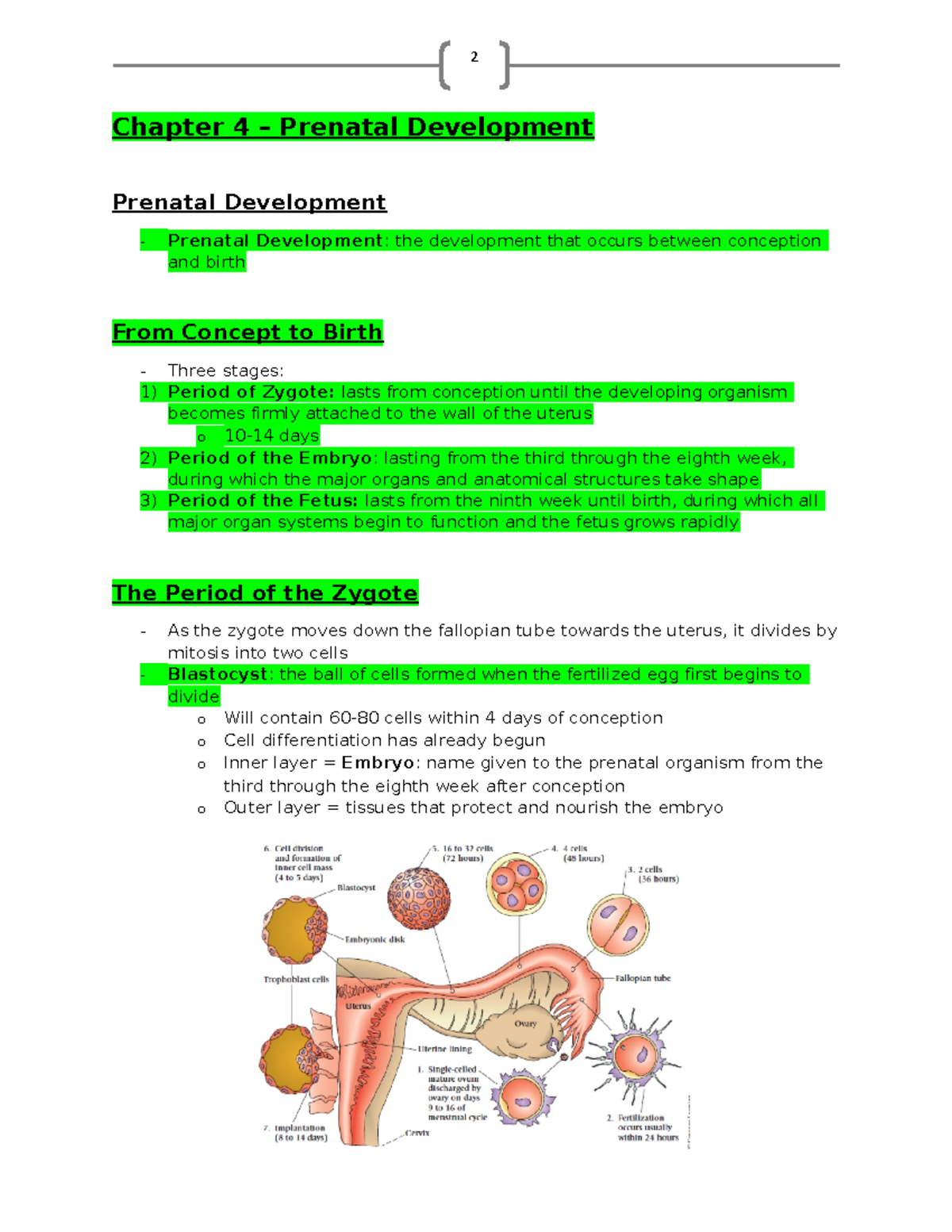 Chapter 4 - Prenatal Development - PSYC-2005EG - Laurentian - Studocu