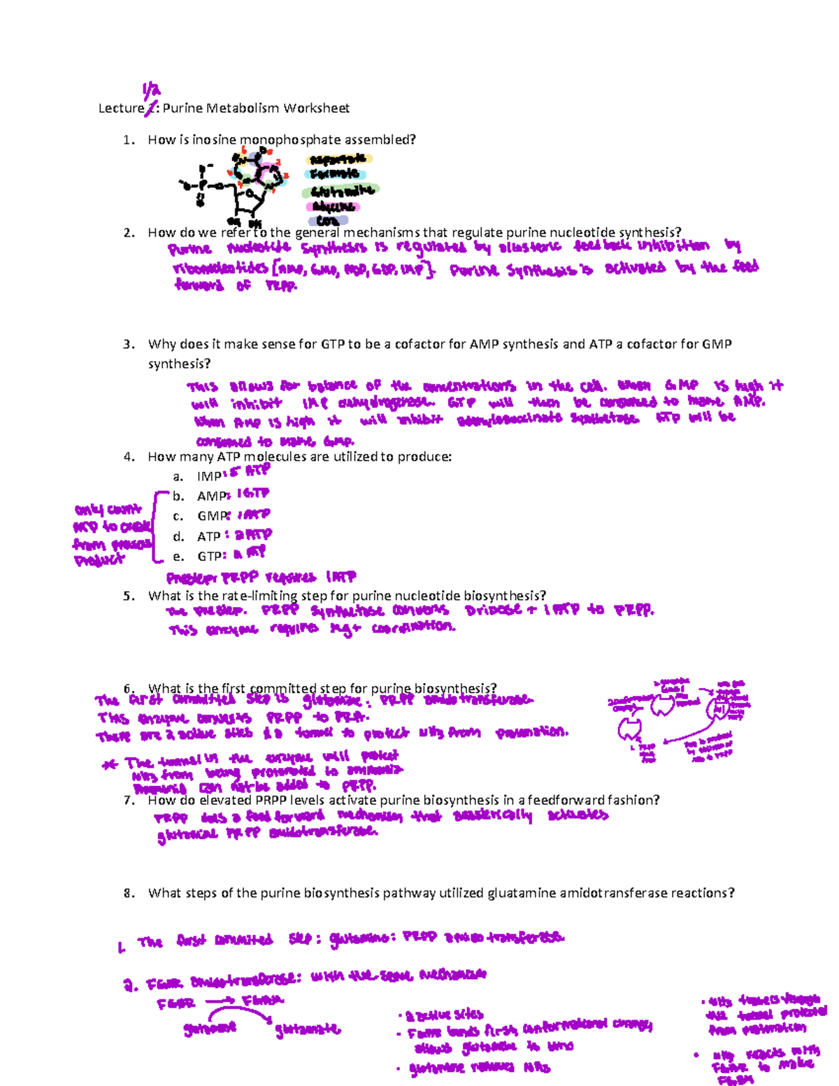 Purine Metabolism Worksheet - How is inosine monophosphate assembled? 2 ...