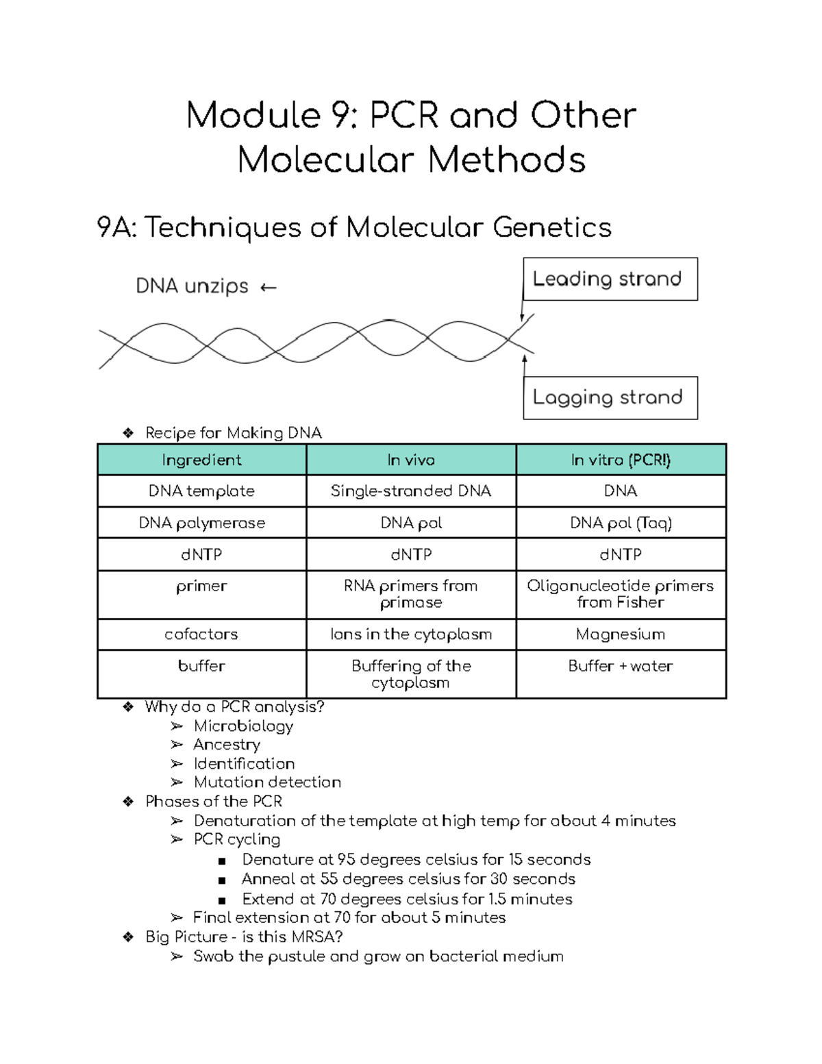 Module 9 PCR and Other Molecular Methods - Module 9: PCR and Other Molecular Methods 9A ...