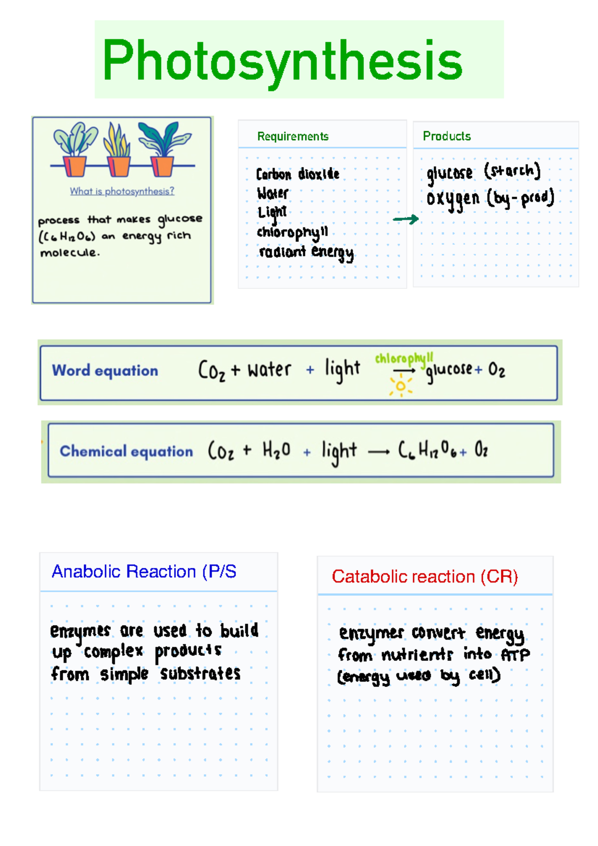 P-S - Photosynthesis notes - Photosynthesis Requirements Products ...