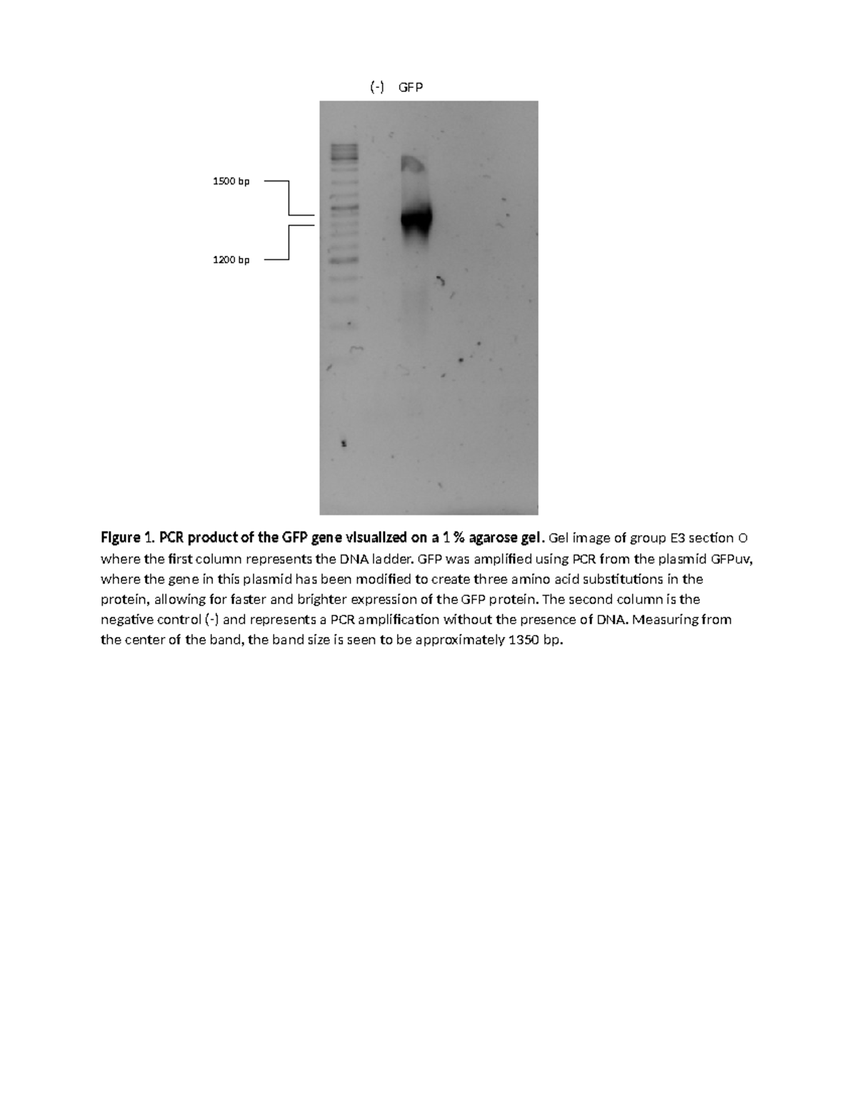 Hw2 bio3151 - Homework assignment 2 following lab2 - Figure 1. PCR product of the GFP gene - Studocu