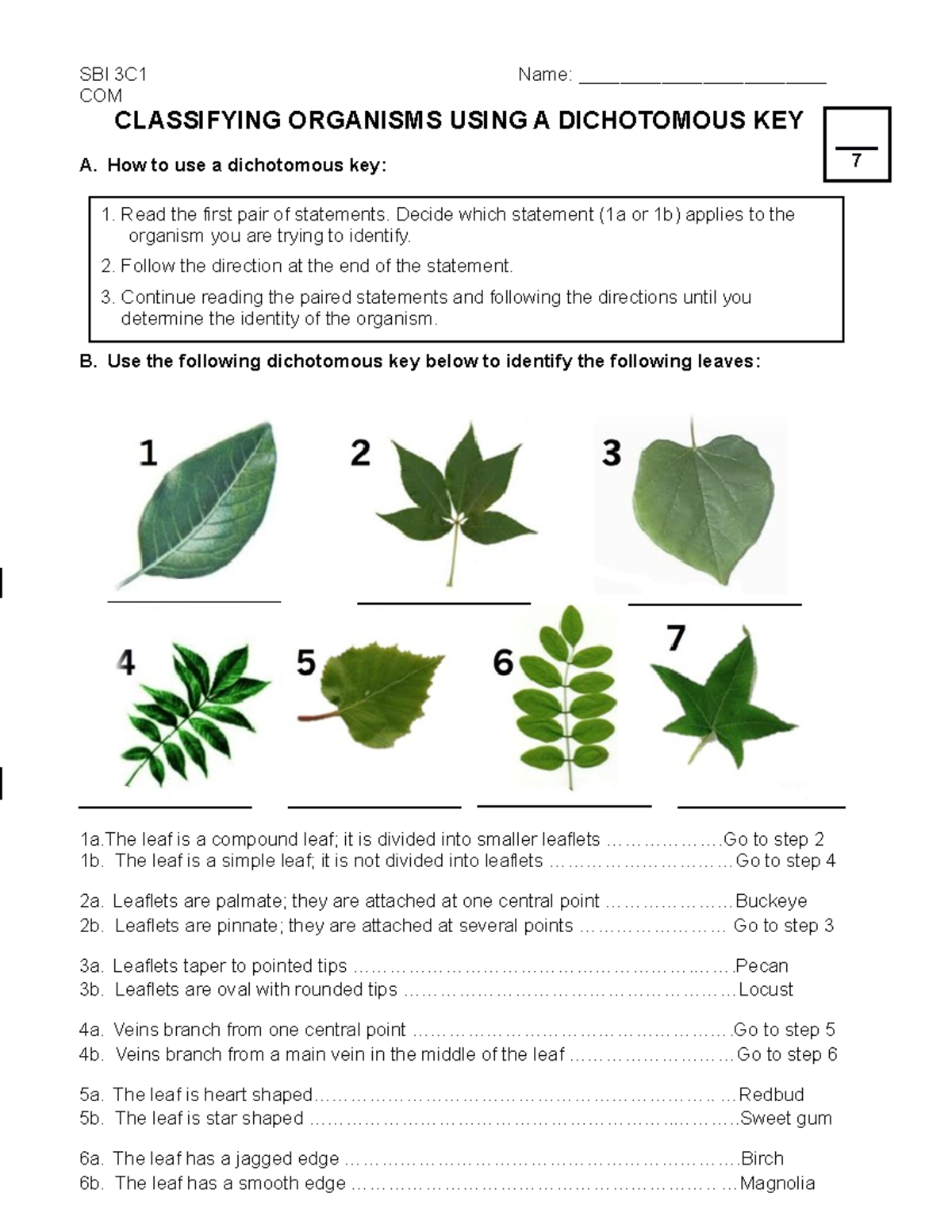 Dichotomous Key Assignment 2022 Virtual SBI 3C1 Name