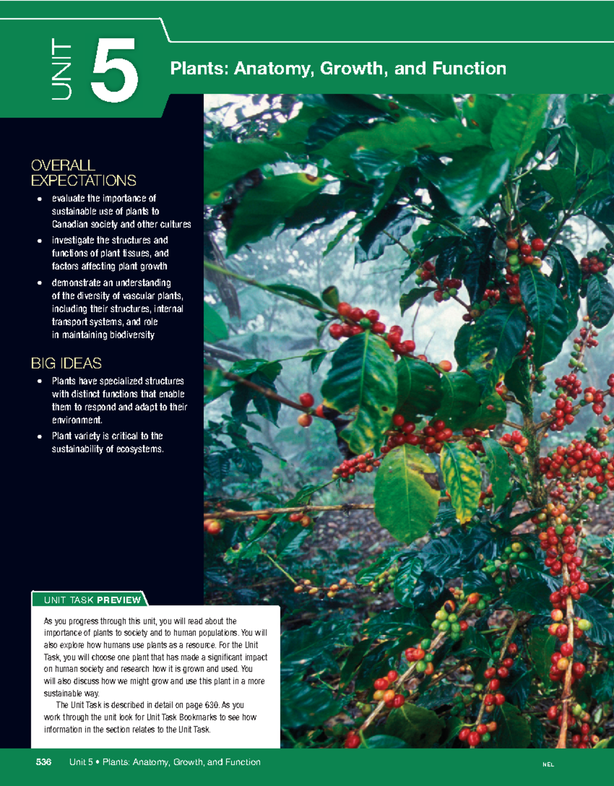 Ch 12 The Importance of Plants (pg 536-585) - UNIT 5 UNIT TASK PREvIEw ...