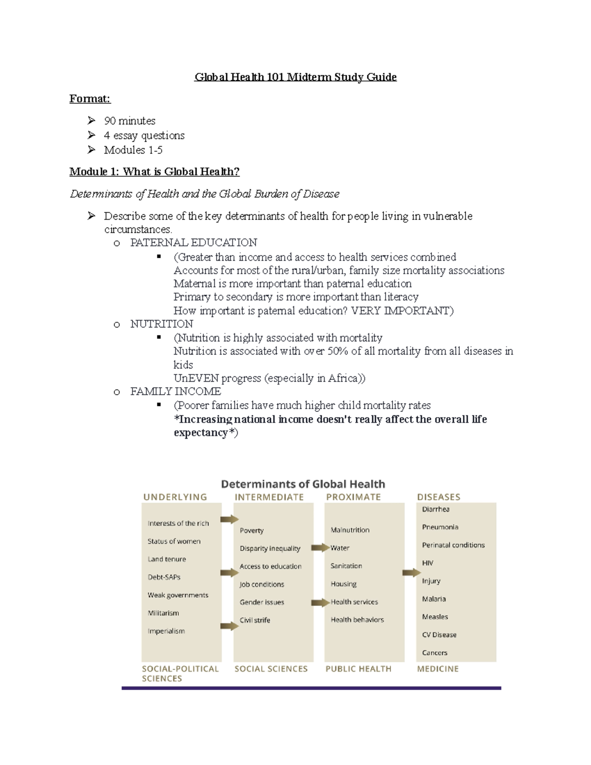 Global Health 101 Midterm Study Guide - o PATERNAL EDUCATION (Greater ...