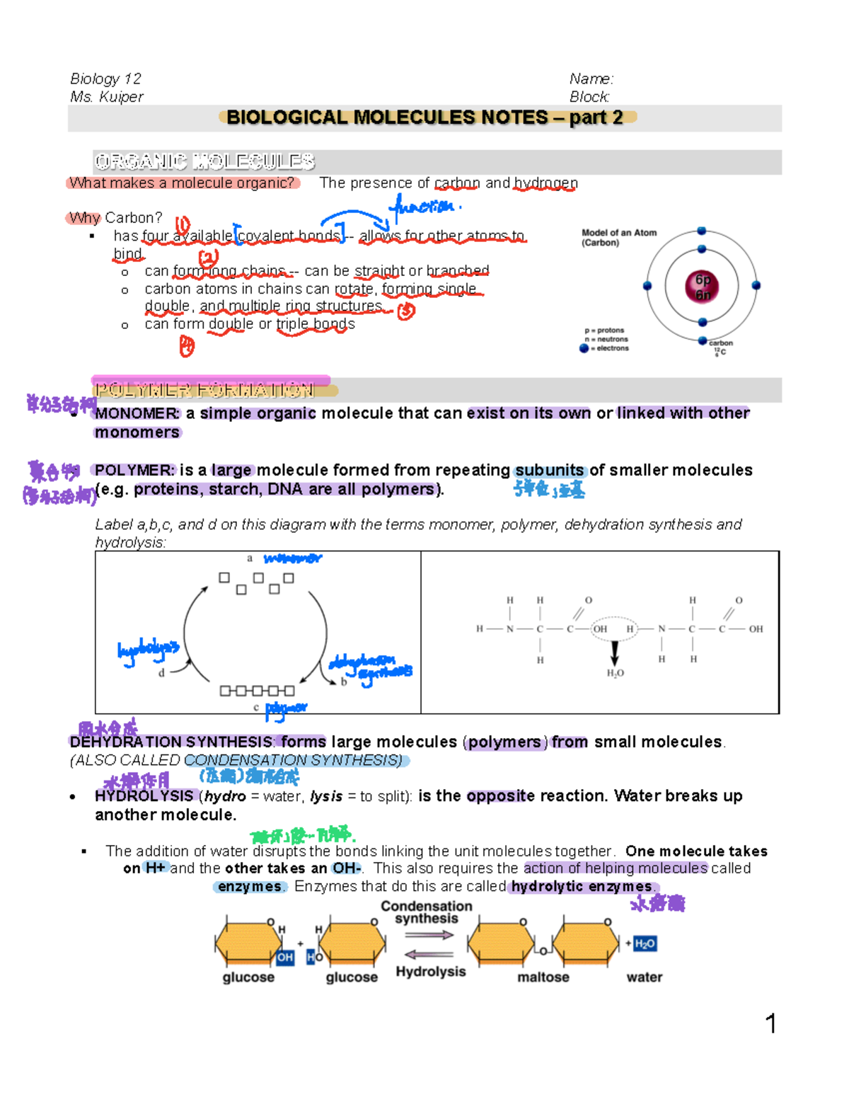 202009 12 Biological Molecules Notes Part 2 - Biology 12 Name: Ms ...