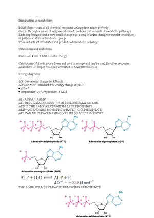 Carbohydrates Biochem - Carbohydrates -Named so because many have ...