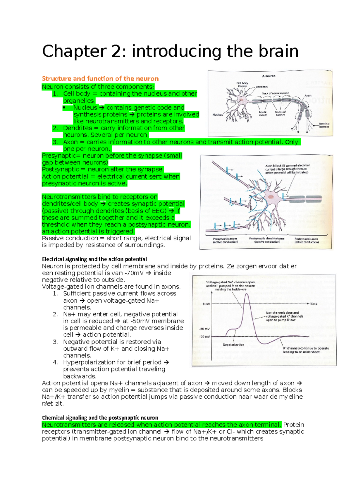 Chapter 2 Introducing the brain - Chapter 2: introducing the brain ...