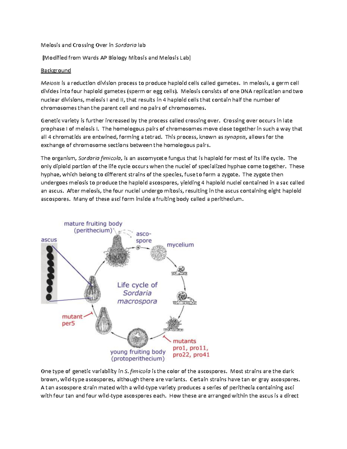 Meiosis and Crossing Over in Sordaria lab - Meiosis and Crossing Over ...