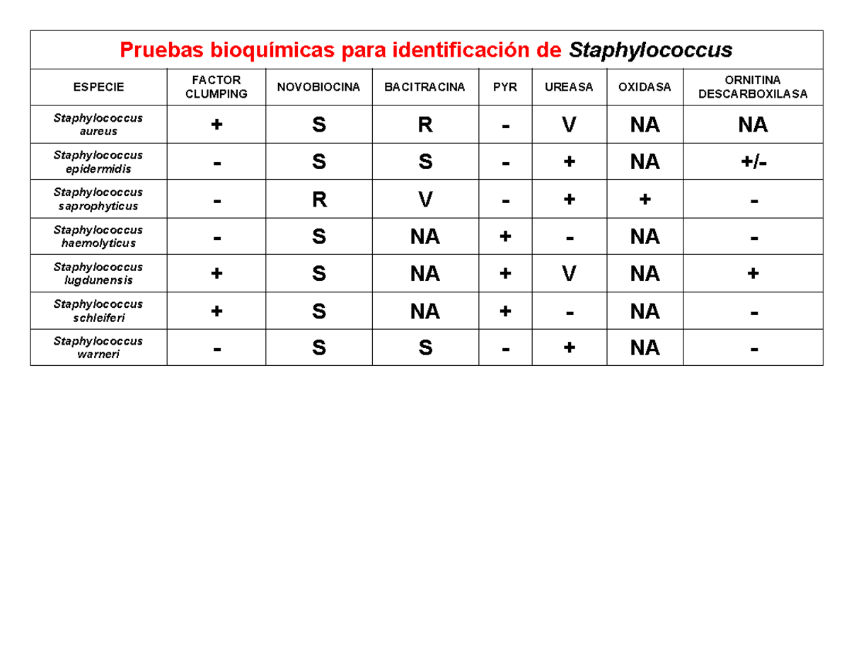 Ficha resumen de tecnicas de identificacion de Staphylococcus - Pruebas ...