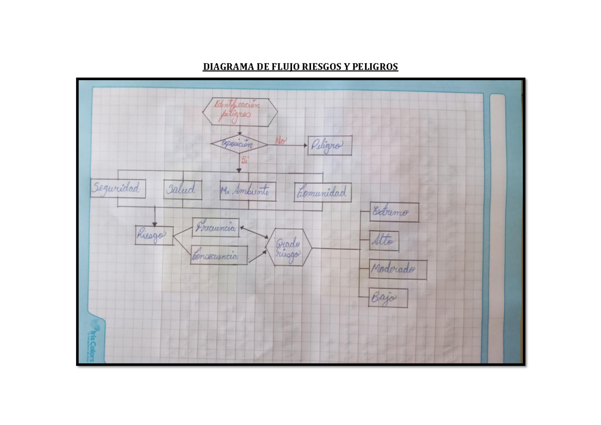 Diagrama DE Flujo Riesgos Y Peligros - Seguridad y prevención de ...