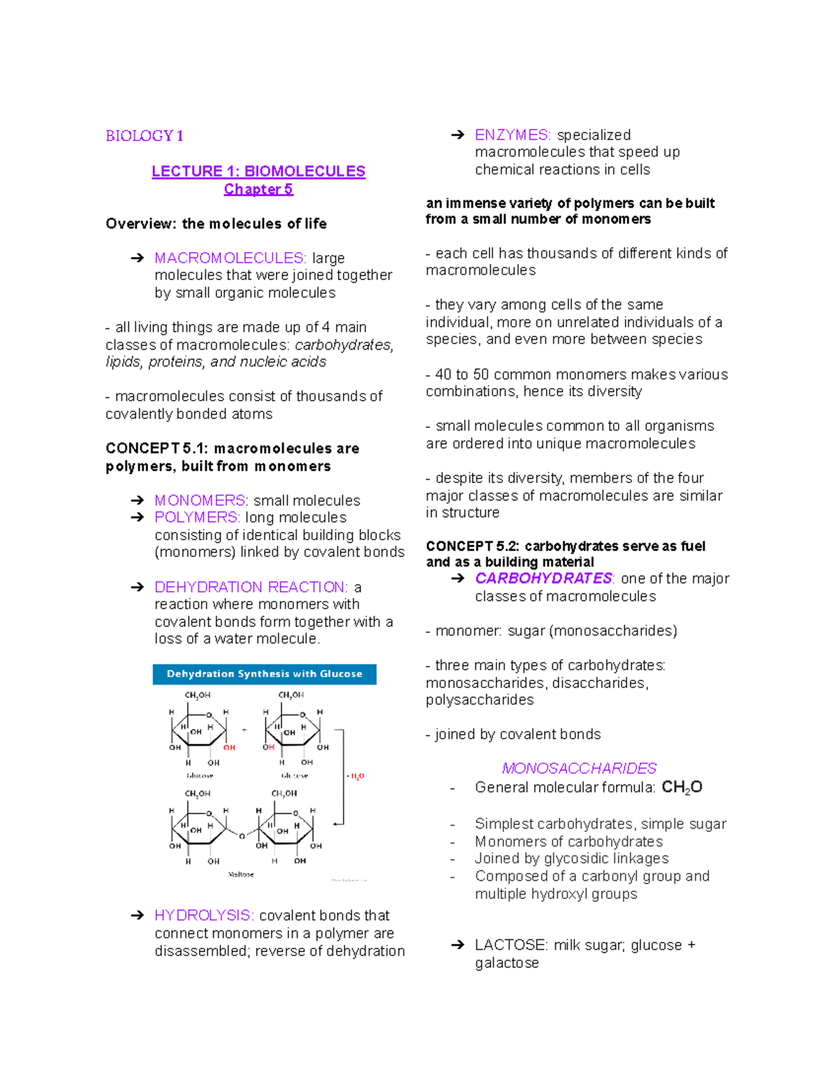 BIO1 Lecture-1-2 - ... - BIOLOGY 1 LECTURE 1: BIOMOLECULES Chapter 5 ...